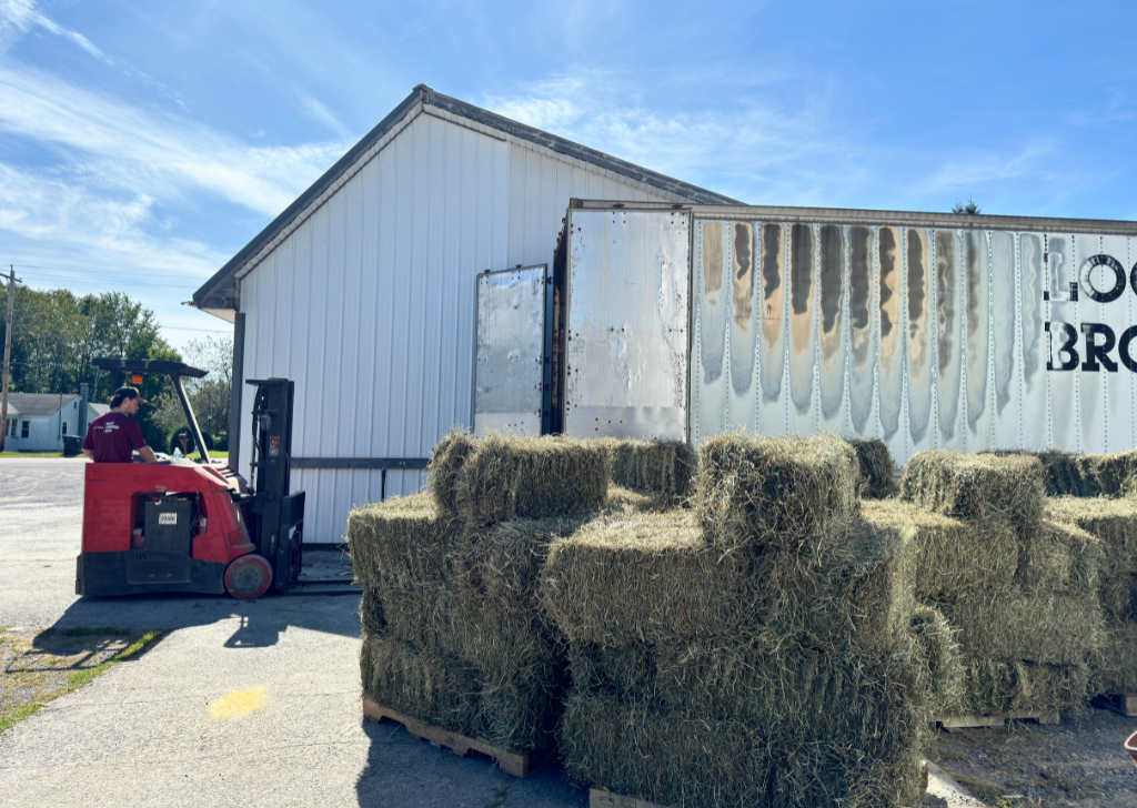 Visit Us & Make Food Exciting – Martin's Country Store